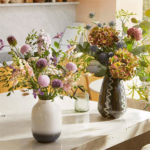 50% Off Bloom and Wild Discount Codes | December 2025